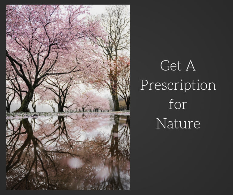 Get A Prescription For Nature - Symmetry Physical Therapy