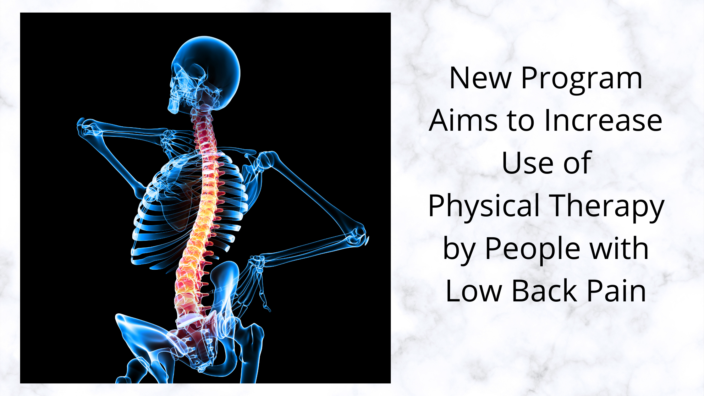 Skeletal Pain Posture And Pain Nimble Fitness: New York City
