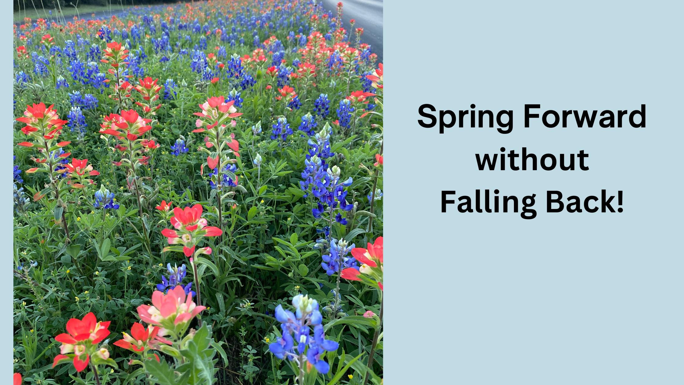Spring Forward Without Falling Back - Symmetry Physical Therapy